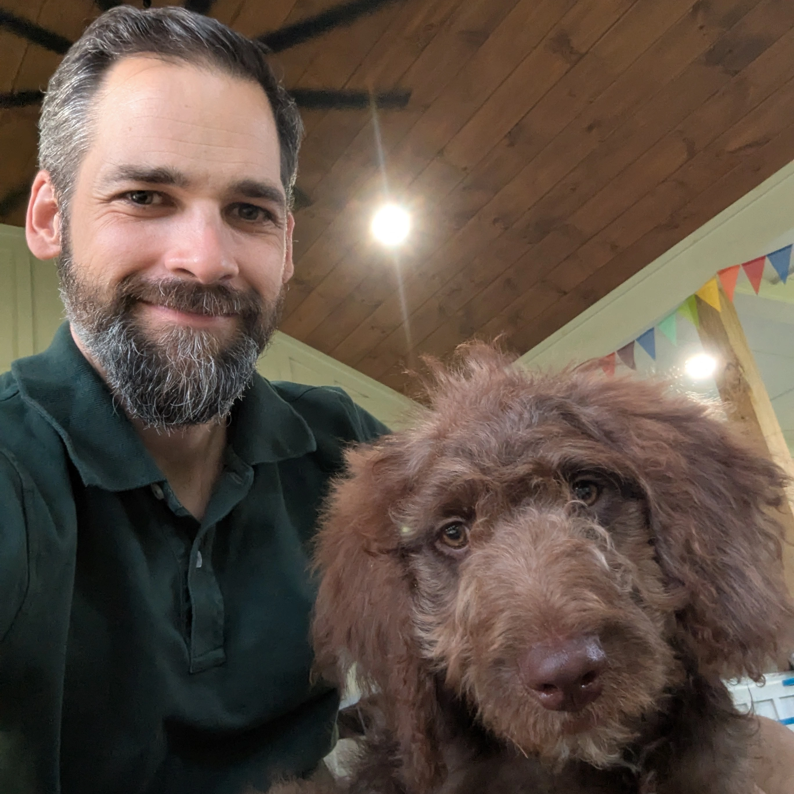 Paw Power Rehab - Expert Animal Physical Therapy